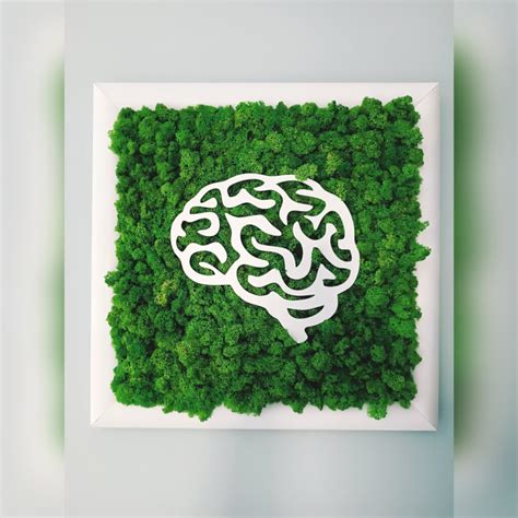 ИНТЕРИОРНО ОЗЕЛЕНЯВАНЕ Seaside Garden Озеленяване Бургас