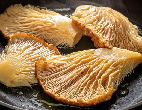 Lions Mane Mushrooms Recipes Tips And Benefits