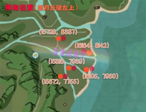 《创造与魔法》云斑鹦鸟获取指南 Taptap