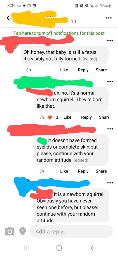 Newborn Squirrel Very Much Not A Fetus Scrolller