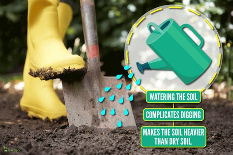 Should I Wet The Ground Before Digging