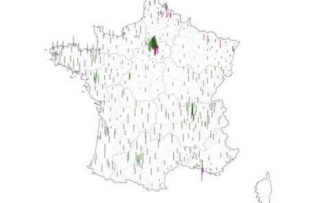 Participation Législatives 2024 Premier Tour Sylvain Lesage Observable
