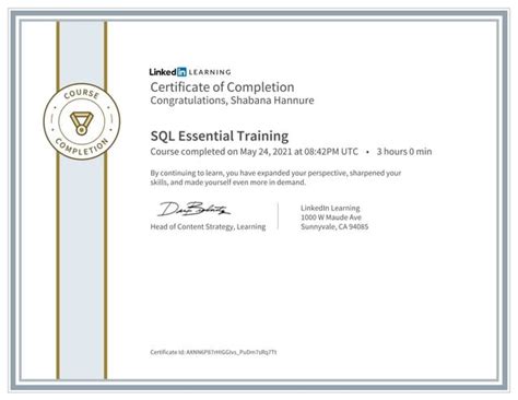 Sql Essential Training Pdf