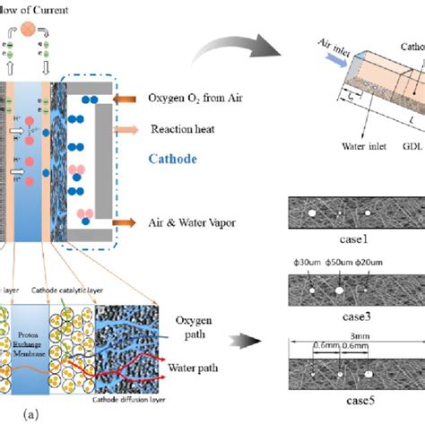 A Schematic Diagram Of Pemfc B Simplified Model Of Cathode Flow