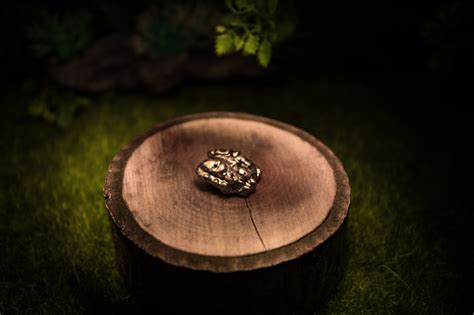 소박한 오래된 나무 테이블에 호두 커널과 전체 호두와 함께 여전히 생활 창조적 인 테이블 장식 건강한 식생활에 대한 스톡 사진 및 기타 이미지 Istock