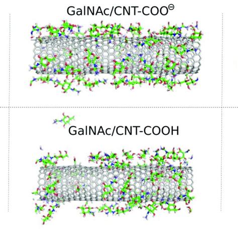Md Simulation Snapshots Taken At The Last Simulation Frames I E Download Scientific Diagram