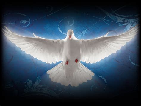 Holy Mass Powerpoint Background