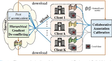 Figure 1 From Feddm Federated Weakly Supervised Segmentation Via Annotation Calibration And