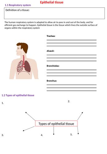 Btec Applied Science Unit 1 Biology Teaching Resources