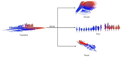 Individual Tree Segmentation From Side View Lidar Point Clouds Of