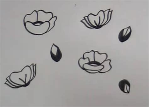 Як намалювати мак поетапні уроки малювання маку різними способами