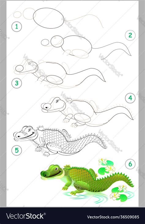 Page Shows How To Learn Step Step To Draw Vector Image