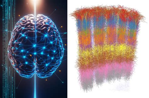 Cortical Columns Redefining Ai With The Principles Of Human Brain Architecture By