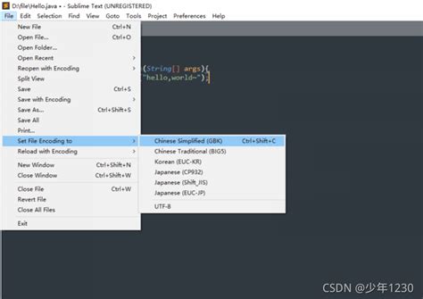 Sublime Text 编译 Gbk文件编码sublime Test如果编译gbk Csdn博客
