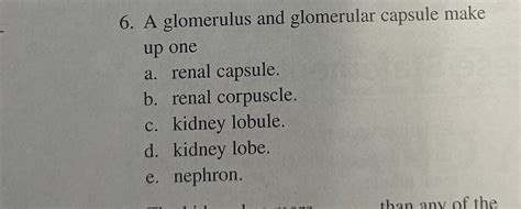 Solved A Glomerulus And Glomerular Capsule Make Up Onea