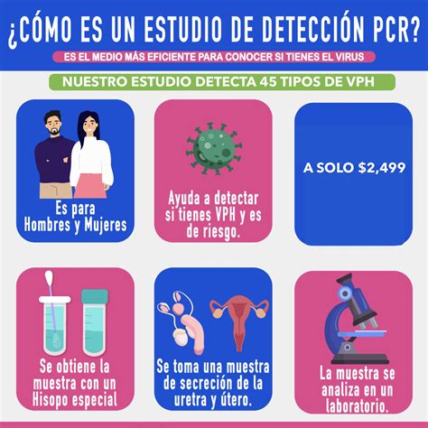 Ginecología Guadalajara Providencia ¿qué Es La Prueba De Pcr O