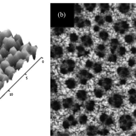 A Atomic Force Microscopy Afm Image Of A Silicon Chip With Porous Download Scientific