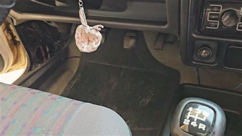 Cold Start Revving And Driving At High Rpm Custom M4ndyfeet Clips4sale