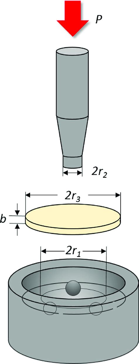 Schematic Diagram For Biaxial Flexural Strength Testing P Is The Total