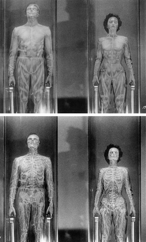 Pictures Of Milicent Patrick