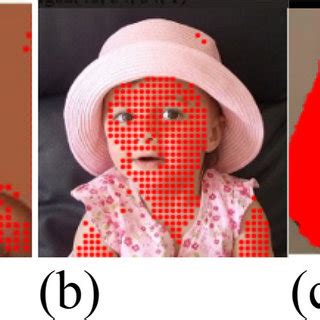A Original Image B And C Shows Common HSL RGB Color Model As Adopted Download Scientific