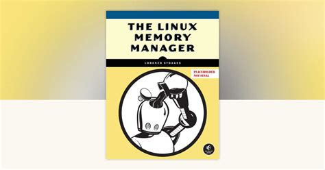 The Linux Memory Manager By Lorenzo Stoakes 9781718504462 Books