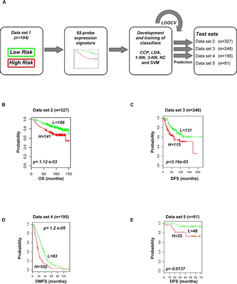 Construction Of Prediction Model In Test Cohorts Based On Gene