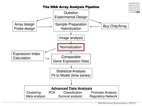 Ppt Normalization Powerpoint Presentation Free Download Id3729539