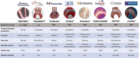 Cerebral Embolic Protection During Transcatheter Heart Interventions