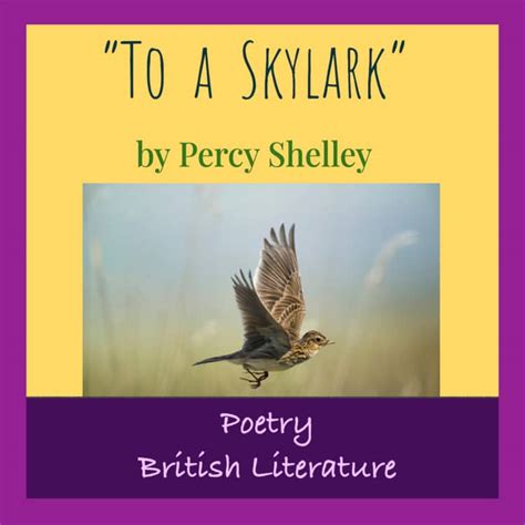 Poem And Worksheet For British Lit Ela 12 Percy Shelley To A Skylark