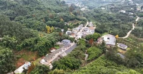 眉山青神：萤火照亮乡村旅游，农旅融合助力振兴腾讯新闻