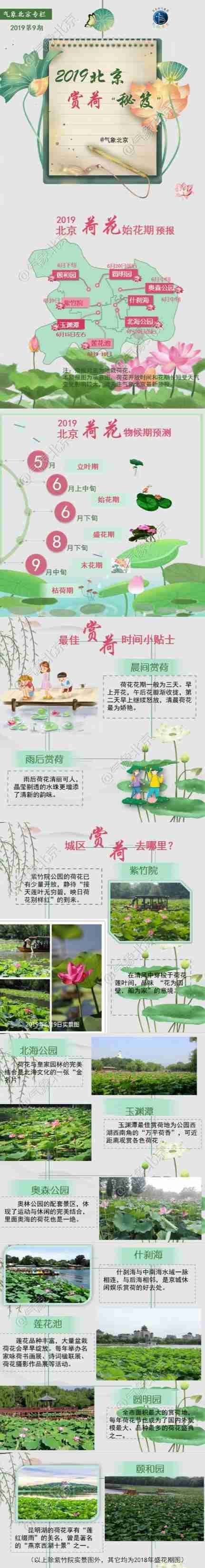 2019北京荷花什么时候开放 花期时间表及赏荷花最好的地方 攻略 旅游攻略