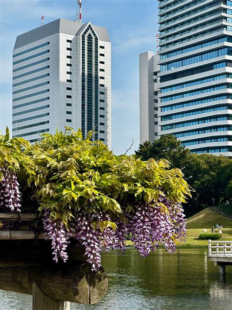 Taina Bofferding Added A New Photo Taina Bofferding