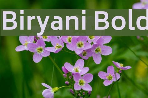 Biryani Bold Font FFonts Net