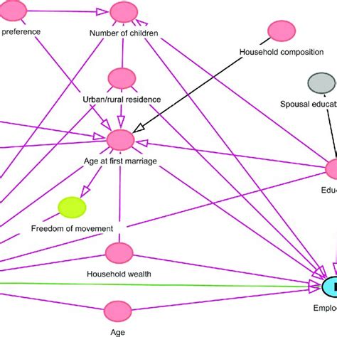 Direct Acyclic Graph Model Of Causal Assumptions Used For Covariate Download Scientific Diagram