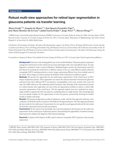Pdf Robust Multi View Approaches For Retinal Layer Segmentation In Glaucoma Patients Via