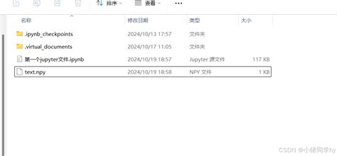 【python】numpy（三）：文件读写numpyload Csdn博客