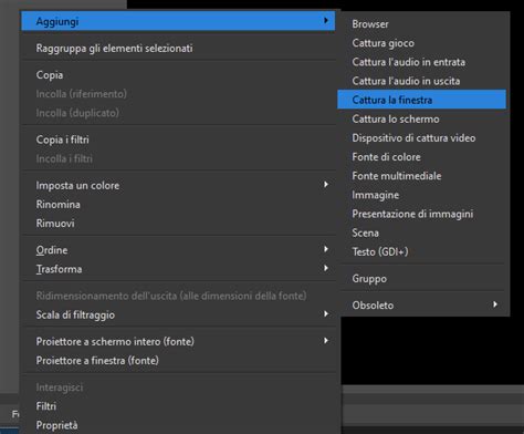 Guida Per Linstallazione Di OBS Per Visualizzare La Minimappa