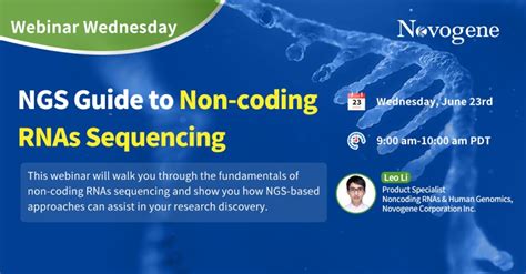 Novogene Rna Webinar Series Non Coding Rna Sequencing Via Ngs Rna Seq Blog