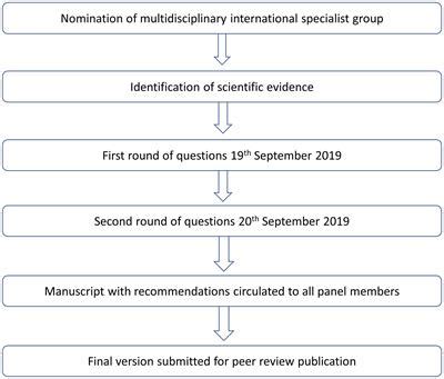 Frontiers Recommendations For The Treatment Of Vulvar Cancer In Settings With Limited