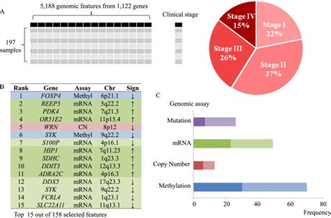 Model For Prediction Of Clinical Stage Using Regularized Regression