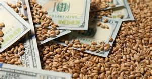 Los Nuevos Múltiples Tipos De Cambio Con Los Que Opera El Campo Tras La Baja De Retenciones