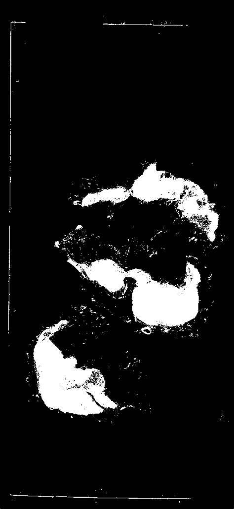 Python How To Quickly And Efficiently Check If An Image Is Mostly Background Stack Overflow