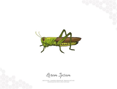 Grasshopper Sitting Vector Art For Wall Decoration Premium Ai