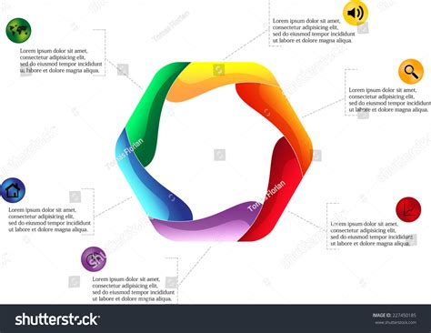 Infographic Hexagon Shape Divided Into Six Stock Vector Royalty Free Shutterstock