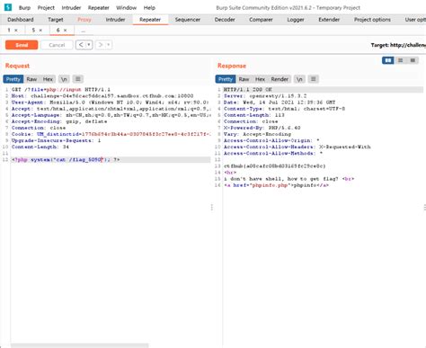 ctfhub php input burpsuite抓包入门 酒酒想混网安 博客园