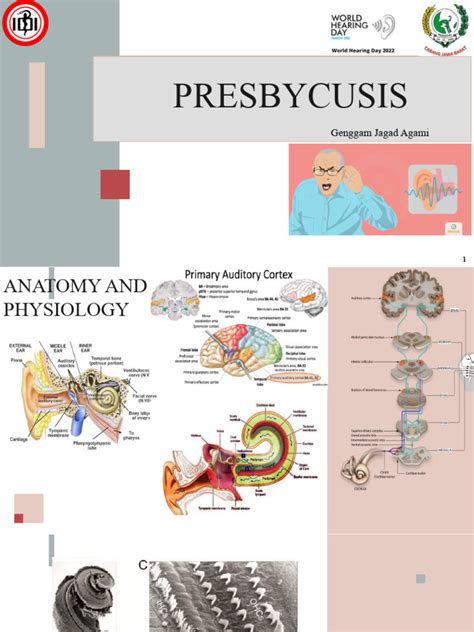 Presbycusis Jagad Download Free Pdf Hearing Loss Hearing