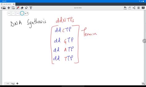 Solved When Setting Up A Dna Sequencing Reaction For Automated Dideoxy