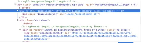 Javascript How To Remove The Dynamically Ng Hide Class In Angularjs