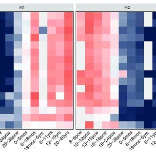 Heat Map Of Normalized Expression Levels Of Two Spatiotemporal